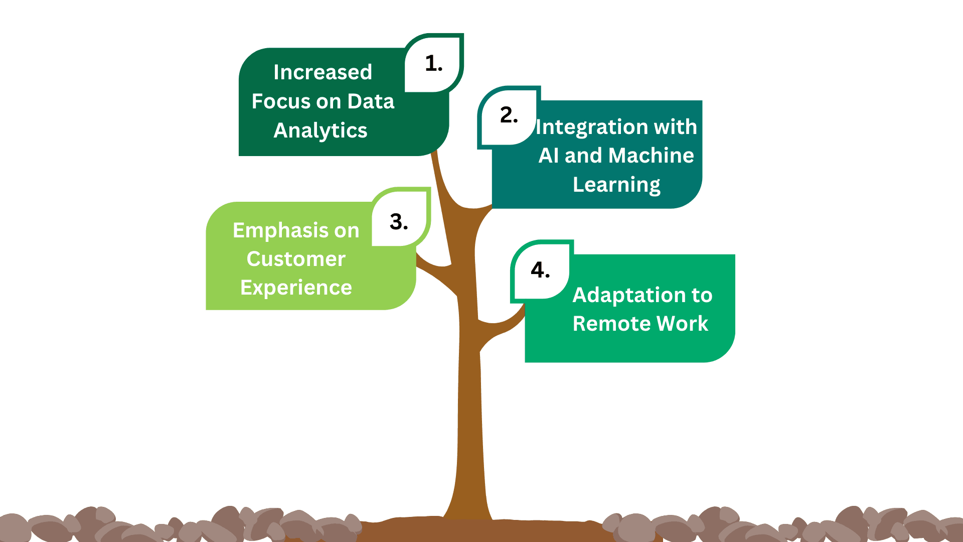 Understanding SAP Z T Codes