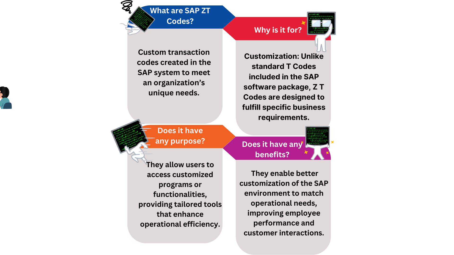 Understanding Sap Z T Codes